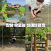 창녕 우포늪 생태체험장 미꾸라지잡기 체험 경남 5월 가정의 달 나들이스팟 추천 네이버 블로그